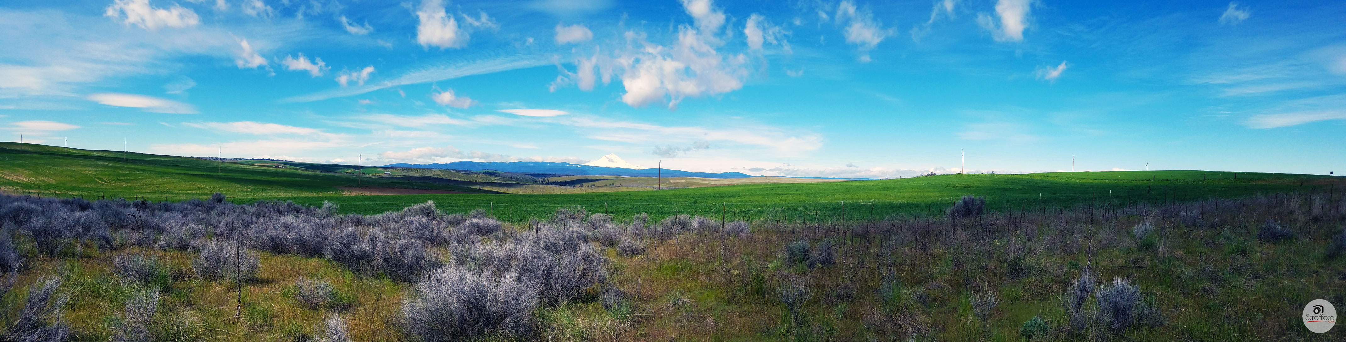 Photo of the Week - Oregon Countryside